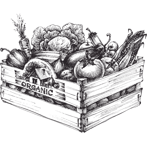 Palmer's Market in Darien - Family Owned and Operated since 1921